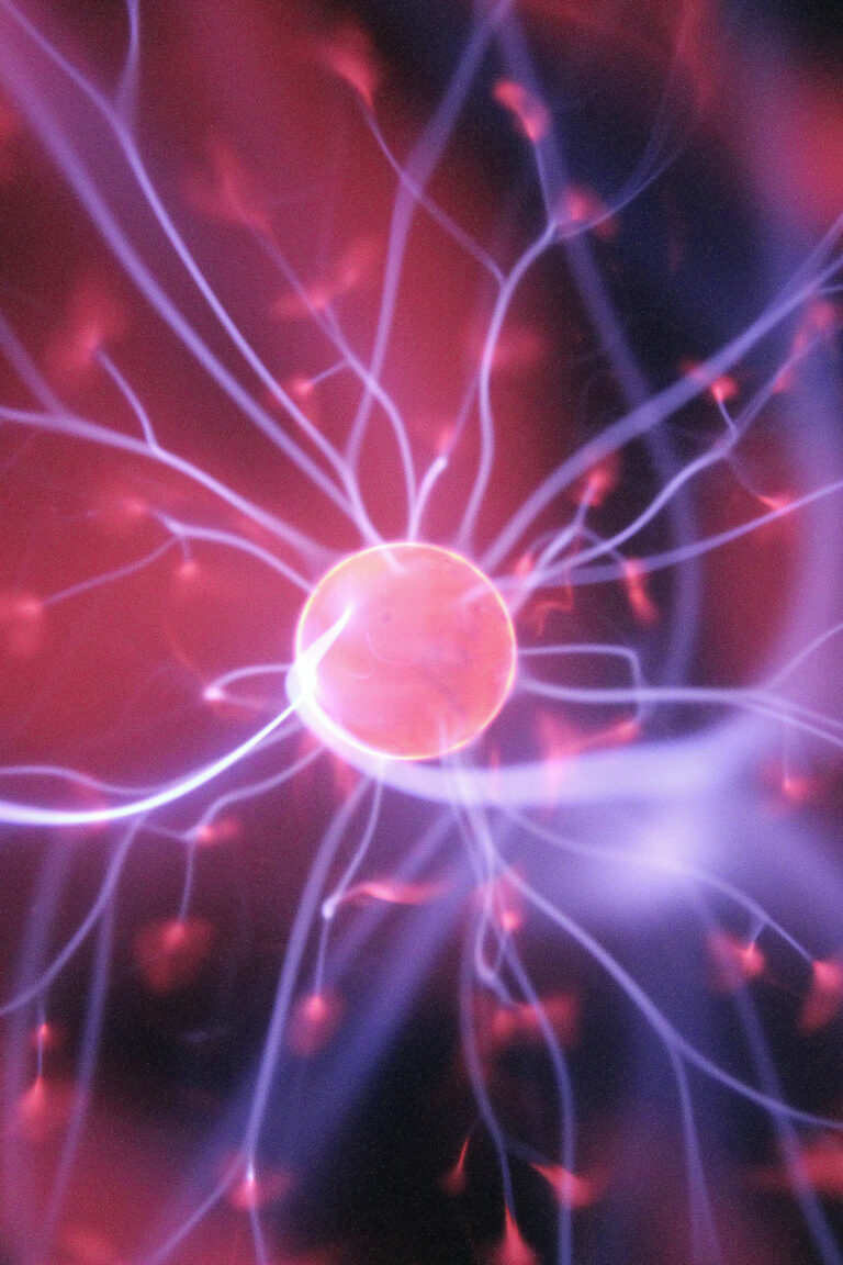 The Energy Blueprint Store