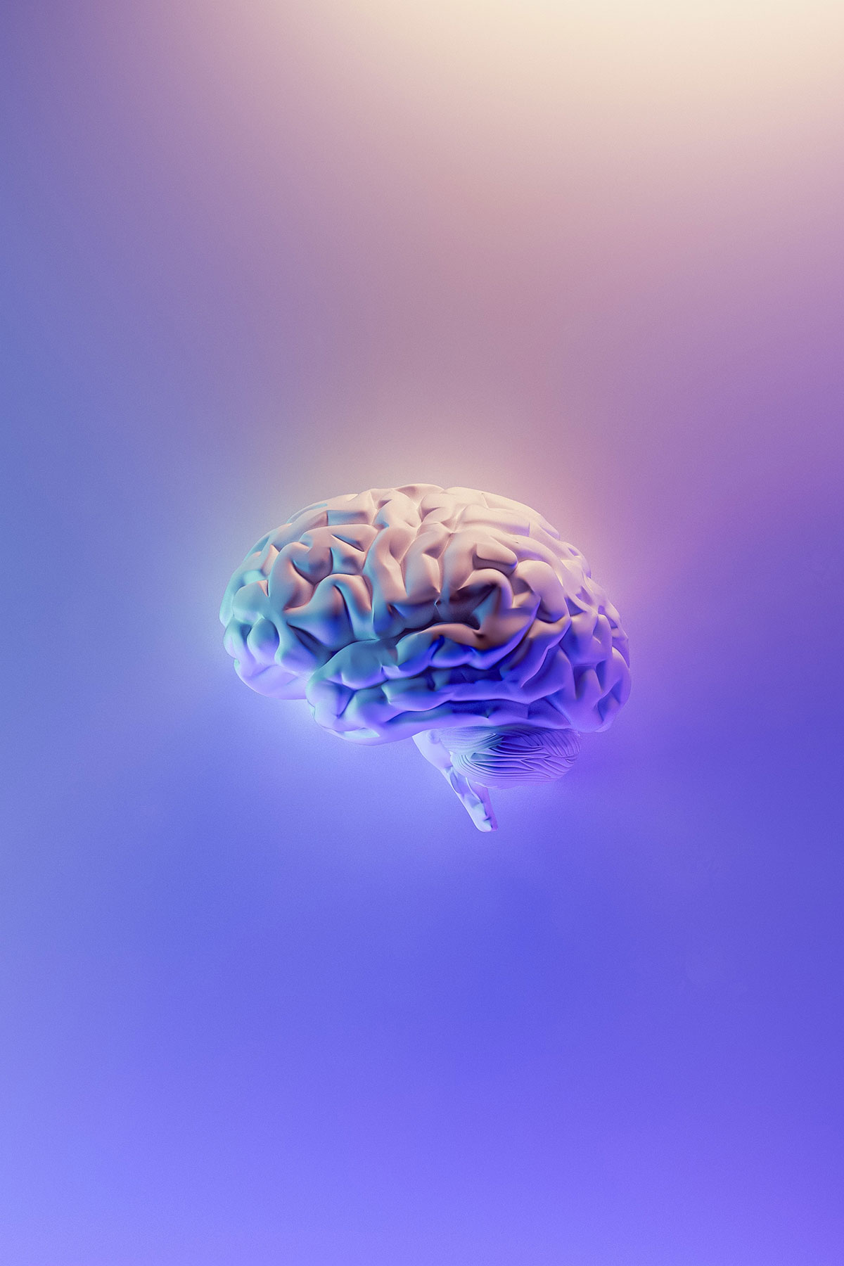 The Energy Blueprint Store